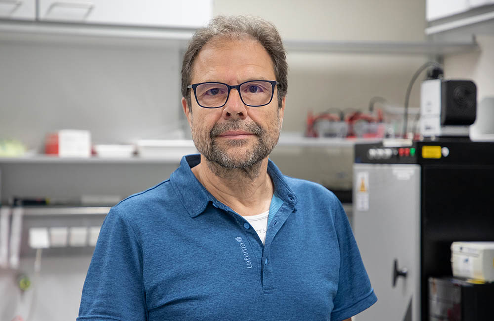 Medizinische Fakultät/Universitätsklinikum Magdeburg A. ö. R ...